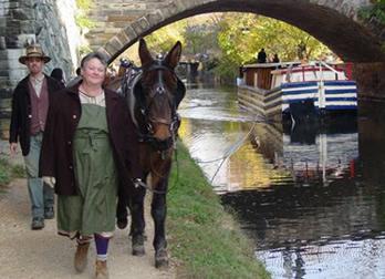 Old Mule Steak & Onions – Old Mule BBQ Sauce